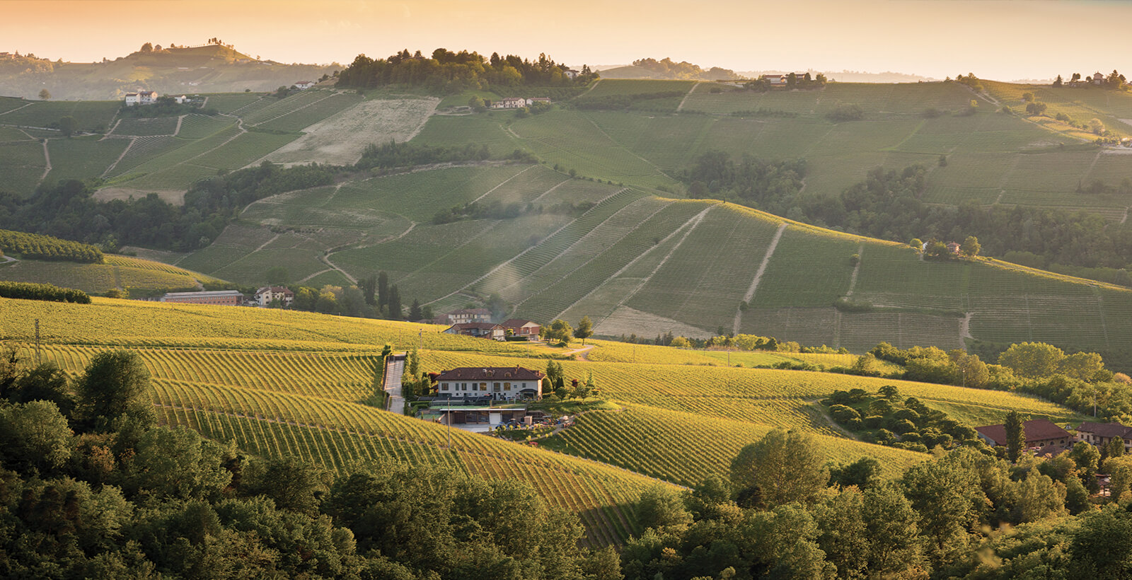 Tenuta Barac – Vendita di vini Piemontesi